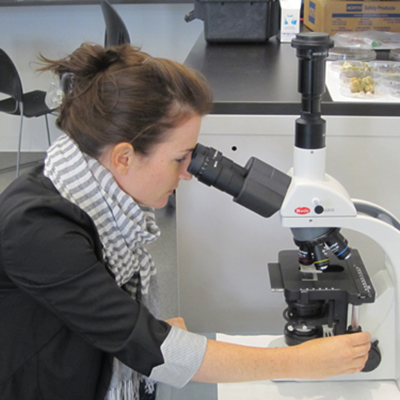 Summa Health Artist Nicole Condon-Shih