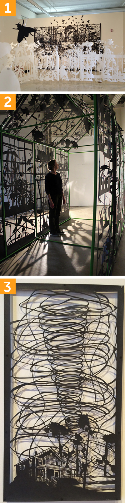 Summa Health Artist Julie Friedman