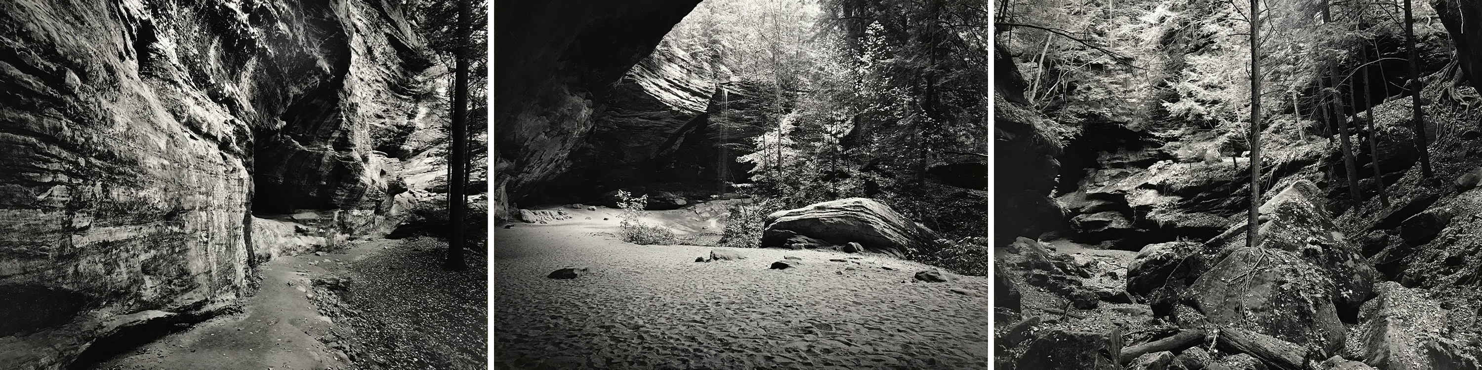 Summa Health Artist Walter Grossman