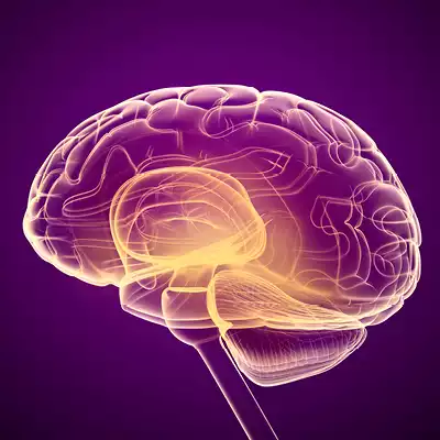 Neurosurgeons: Who they are and what they treat